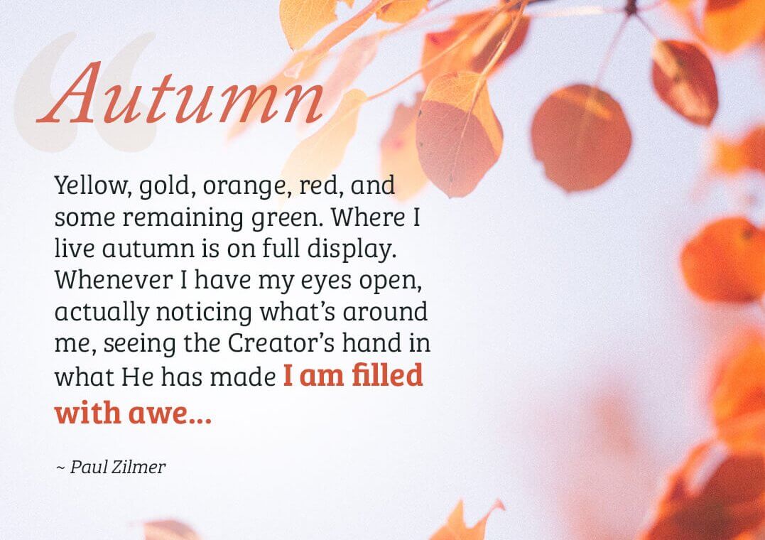 Autumn, Reflection - Tidings